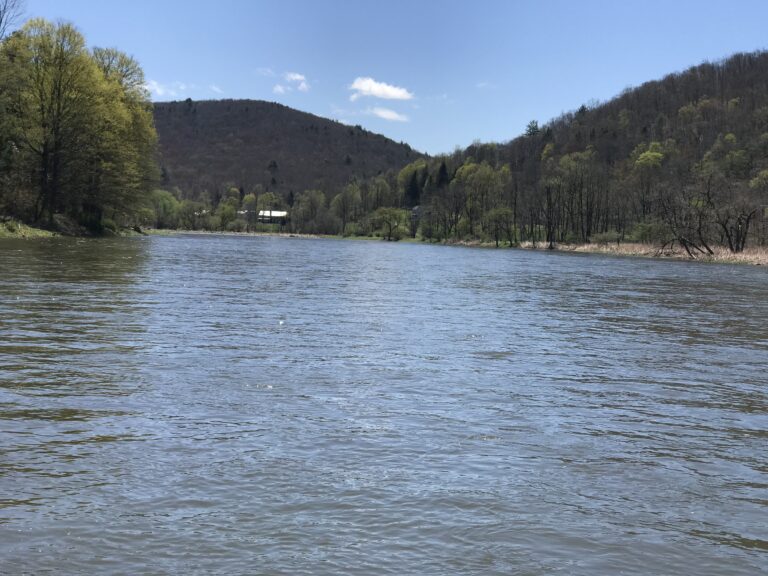 One Bug: A day on the Delaware - Delaware Currents