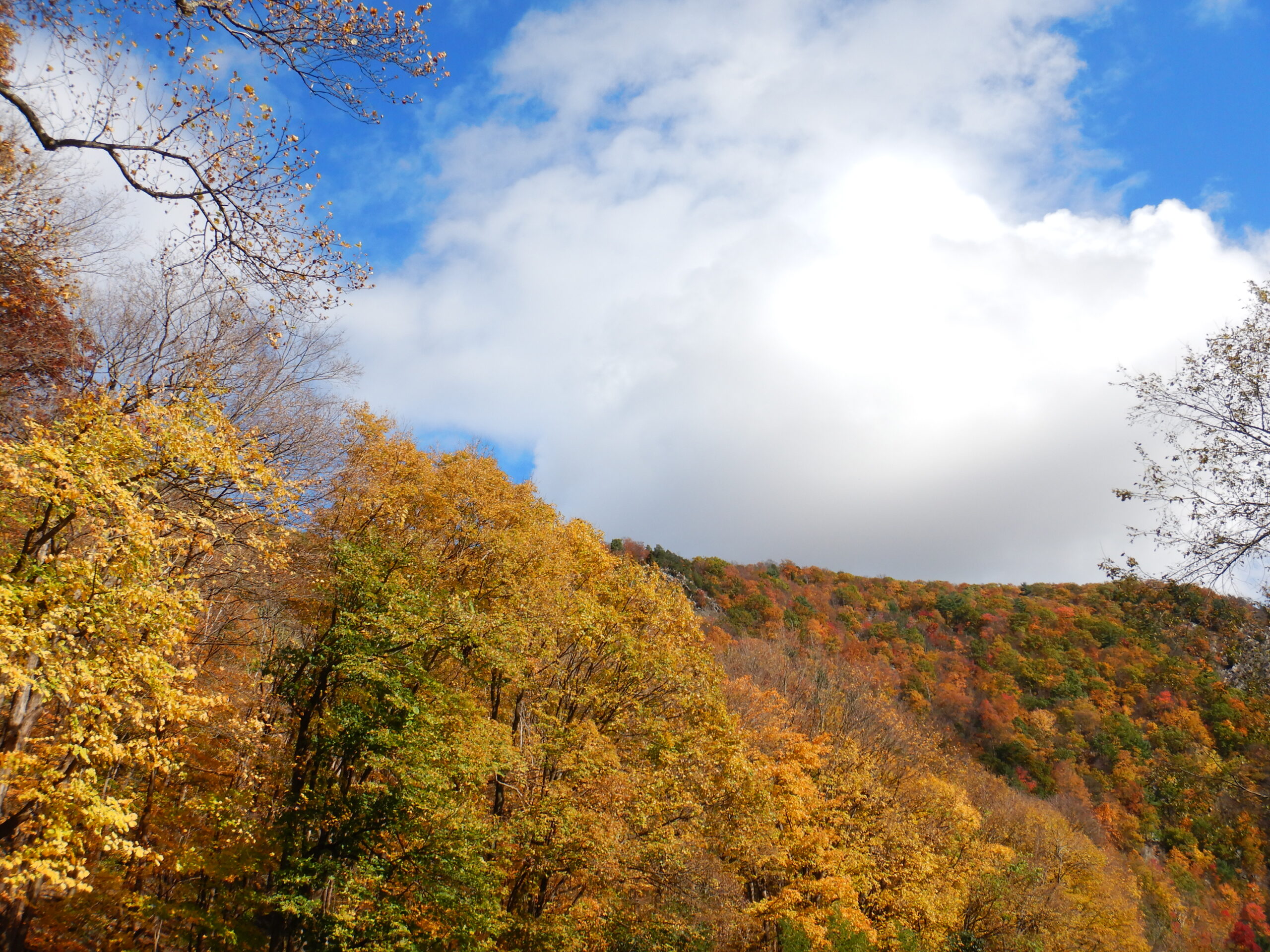 A fall hike and a hiker's fall - Delaware Currents