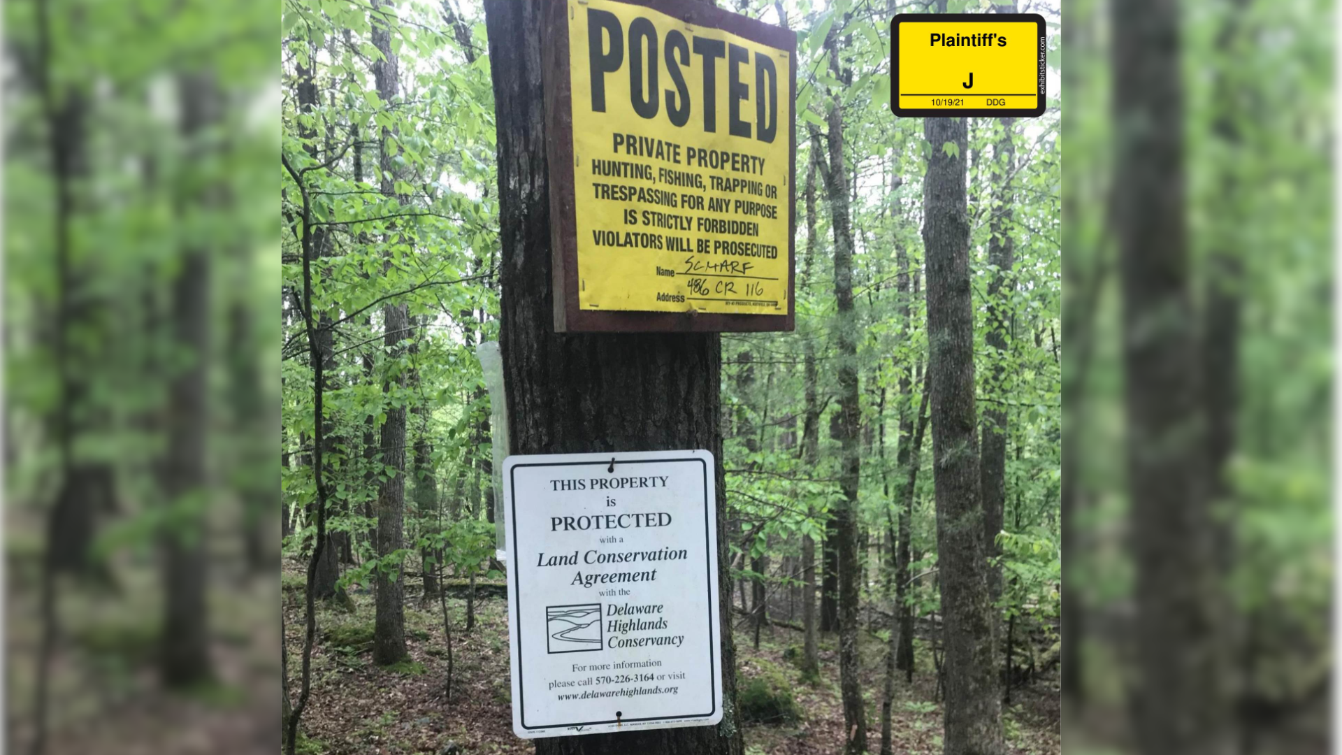 Timber theft in Upper Delaware leaves owner bereft and forestland ...
