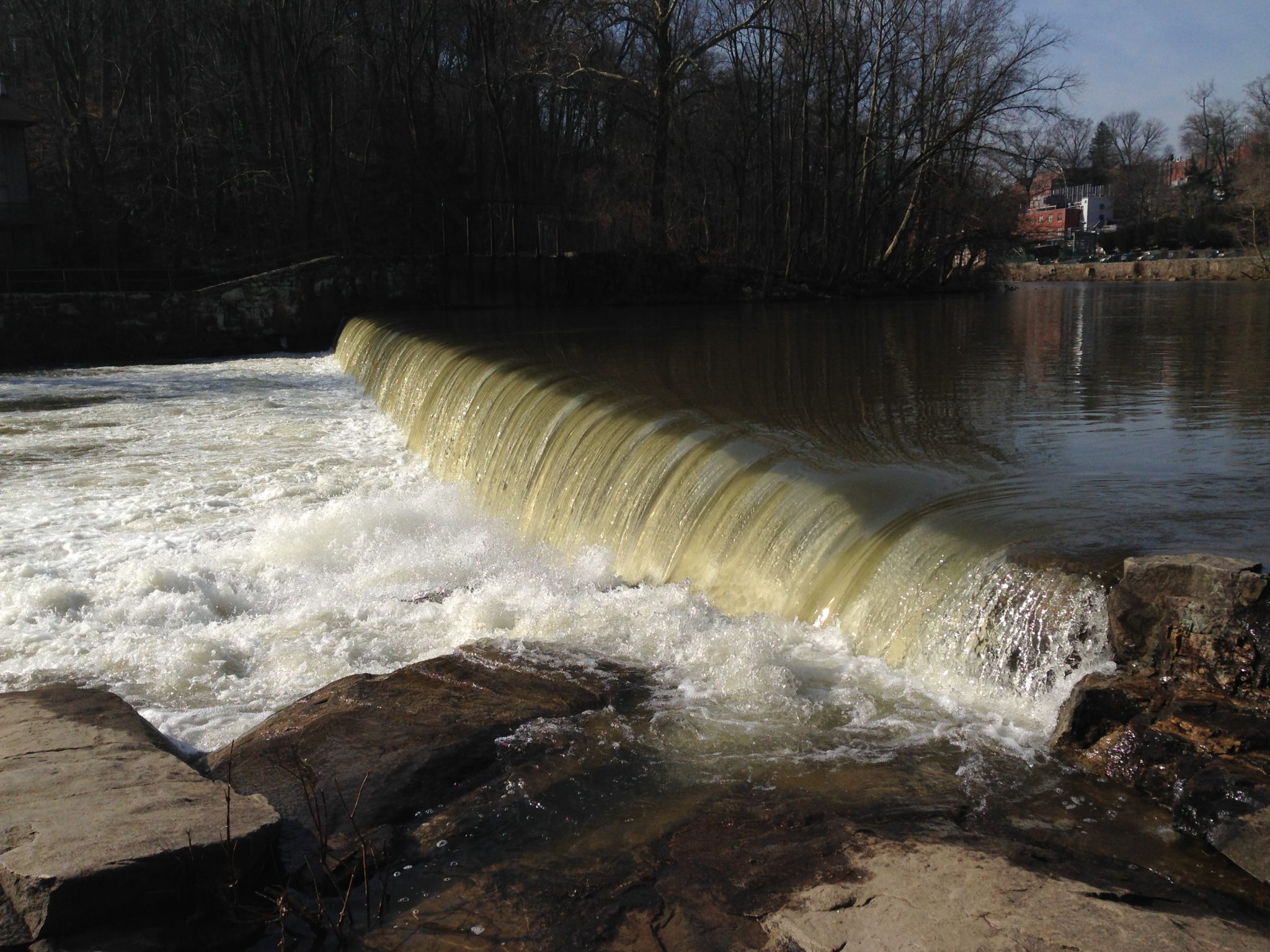 The beneficiaries of removing mill dams in Delaware River watershed ...